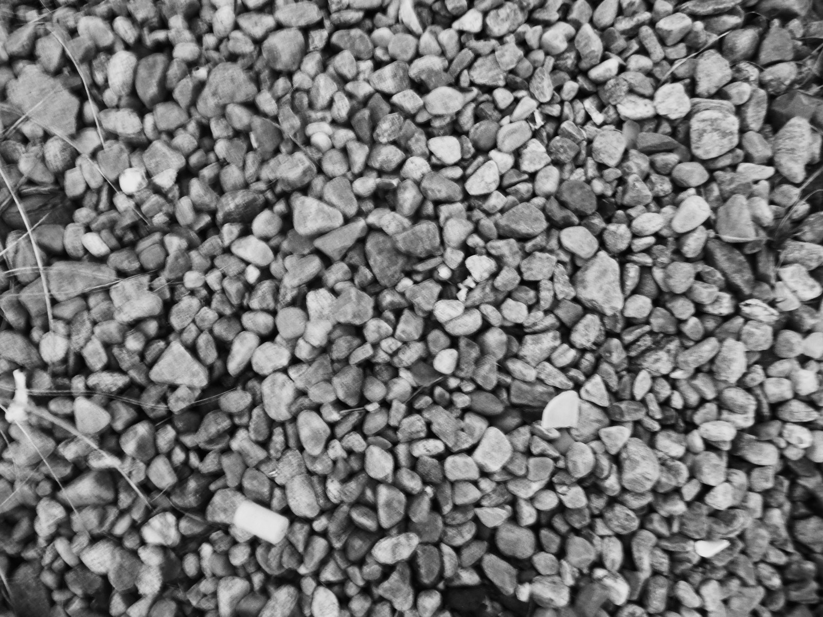 jag och min MS: En sten är inte bara en sten