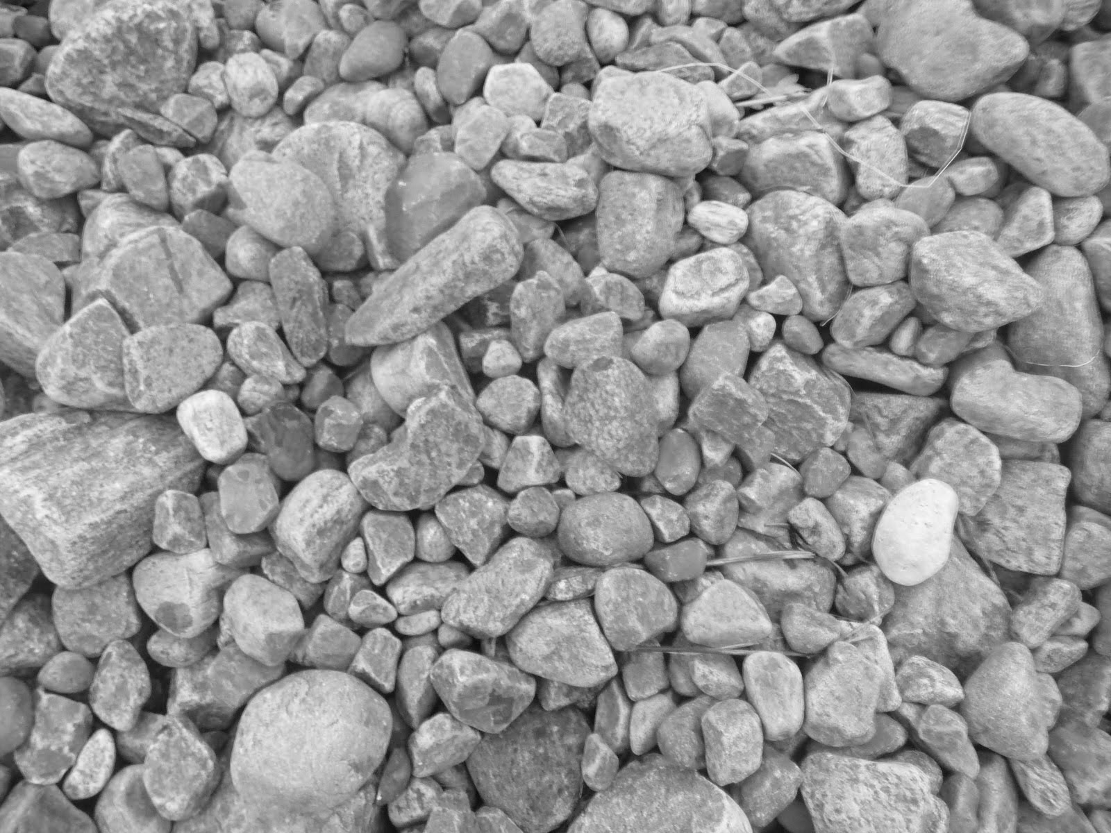 jag och min MS: En sten är inte bara en sten