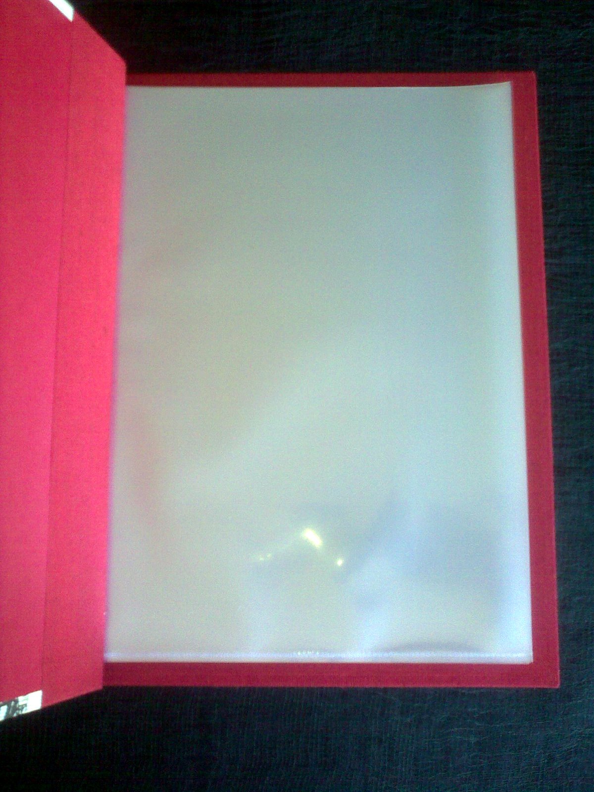 Papiê: novembro 2010