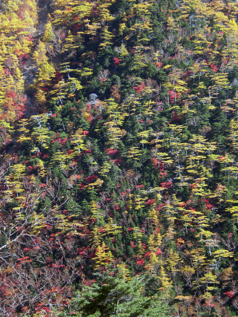 Japanhandlin: Climbing Mt. Kaikoma