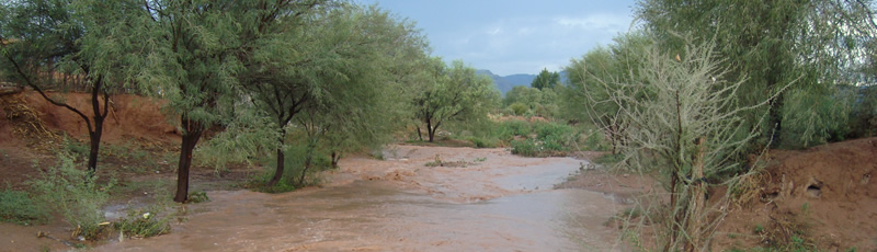 Ciudad Nazas, Dgo.: Gente Y Pueblos del Mpio. de Nazas.