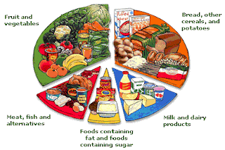NUTRITION SOCIETY: The food groups