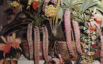 viajeando: Rincón en Cuba. Cascada de Soroa en Pinar del Rio.