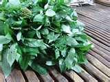 Hervegetarian: Saluyot (Jute Leaves)