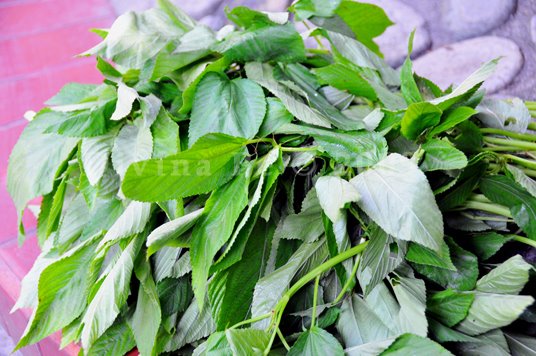 Hervegetarian: Saluyot (Jute Leaves)