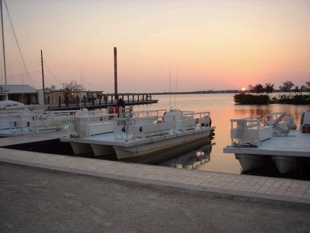 Jaime Peterson: Newfound Harbor Marine Institute