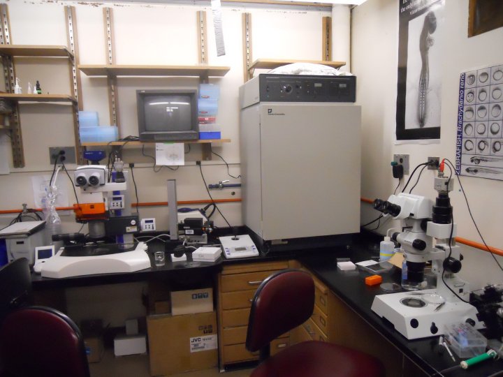 New Voices for Research: June 2010