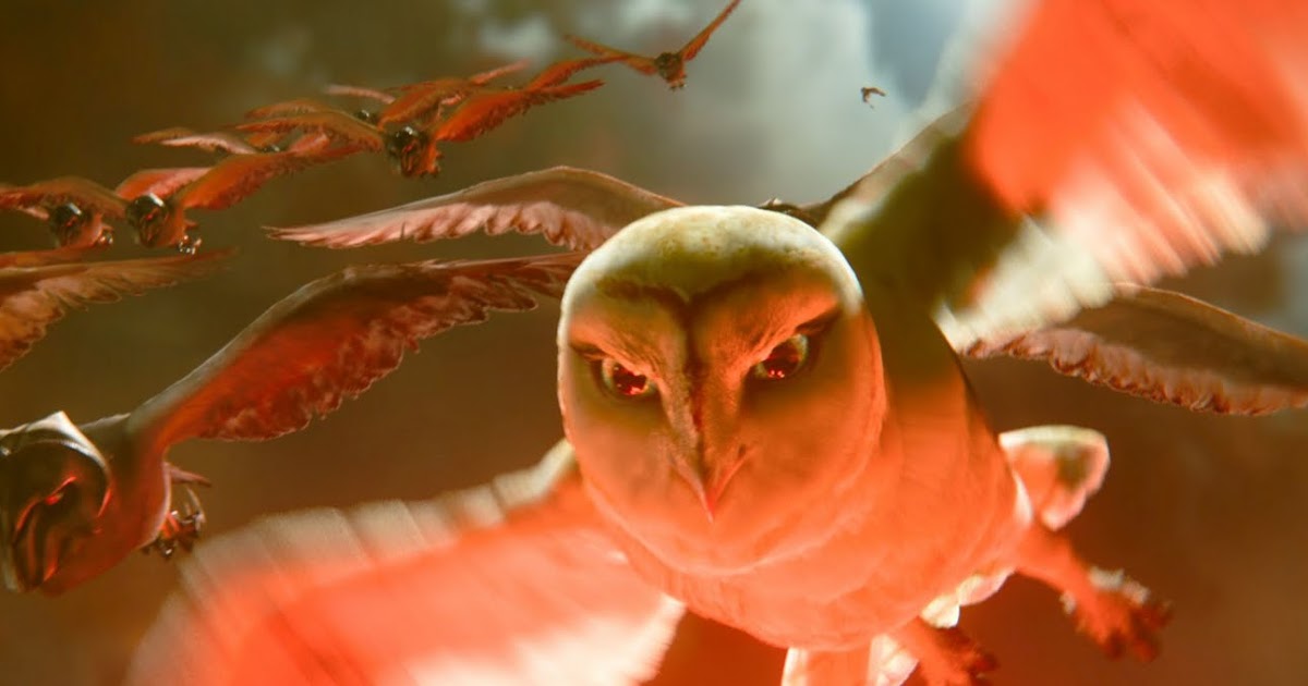 The Last Thing I See: Legend of the Guardians: The Owls of Ga'Hoole