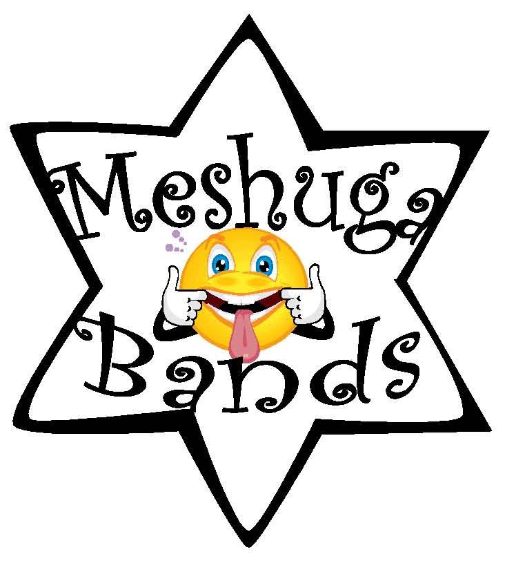 Meshuga Bands-featuring the Shalom Band: משוגע Meshuga What??? משוגע