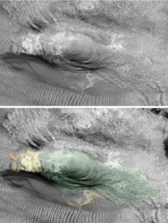 The Birdchaser: Birds on Mars?