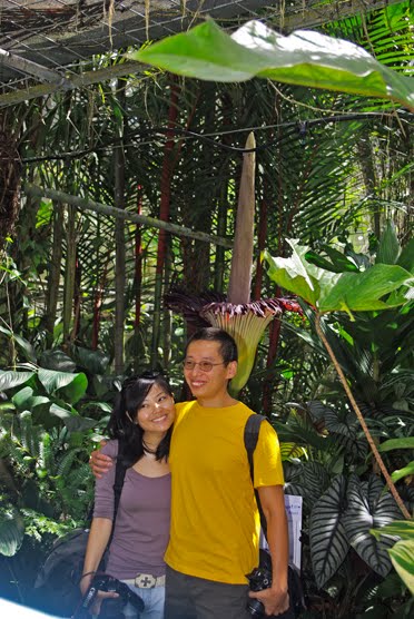 BunyipCo: January 2011