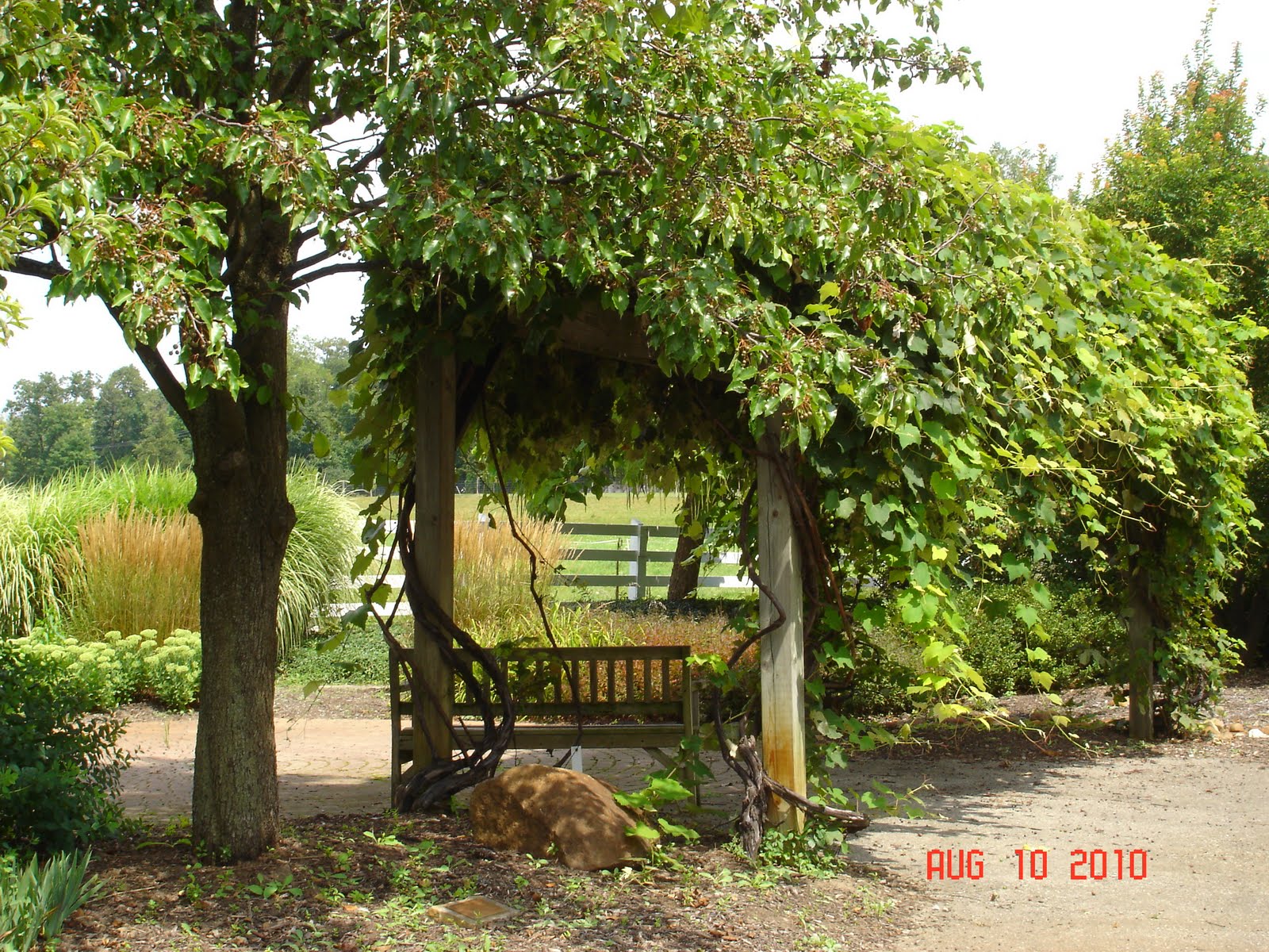 Getting into Truffle: The Tollgate farm ~ Novi, Michigan