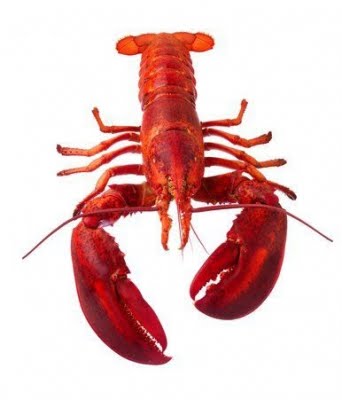 Sas Kookt: Kreeftensoep