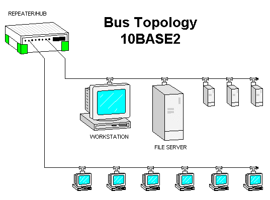 bus topology - meddic