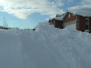 Graceful Life: Snow in Barrie, Ontario
