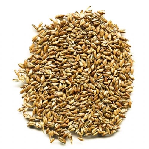 Alimentos beneficiosos para la salud. : La espelta