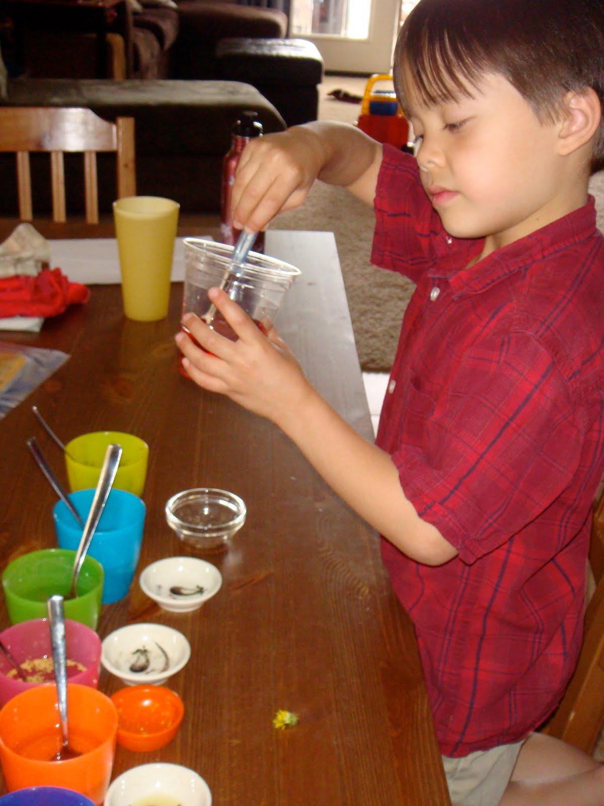 The M&M Show + H: Solution or Mixture Science Experiment