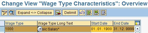 saphrmaterials: Creating Custom Wage Types