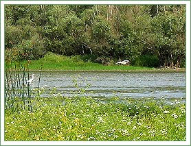 VALURILE DUNĂRII: Tot despre lacul Brates, lunca Prutului, ce-am avut ...