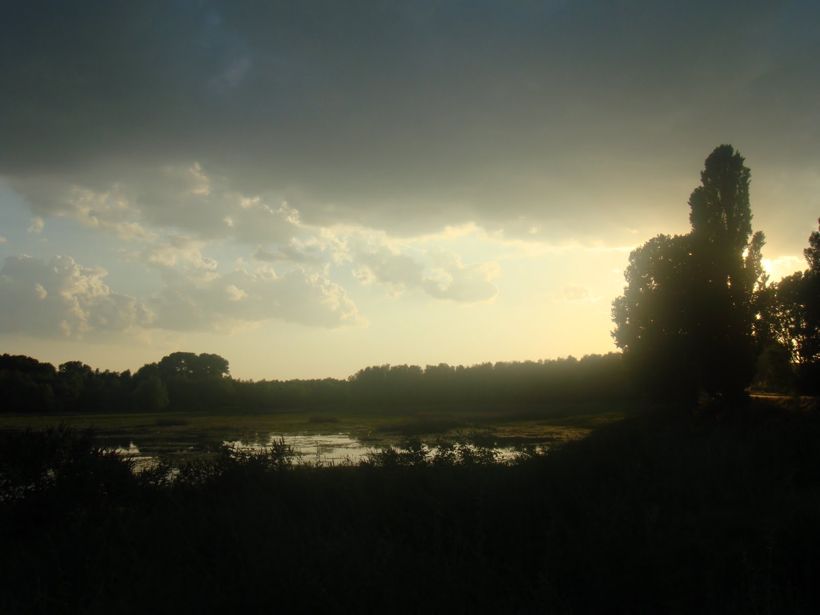 VALURILE DUNĂRII: Lacul Brates, sau cum am prins primul peste.