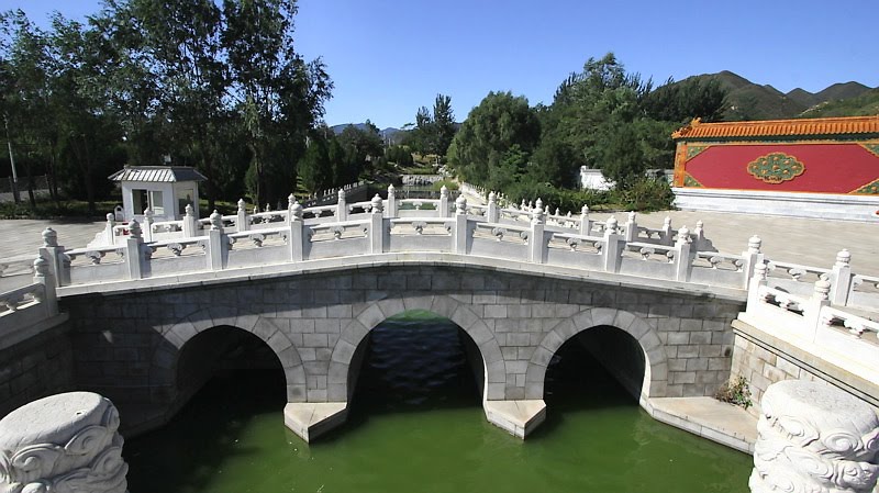 BeijingMan: Chinese Cemetery