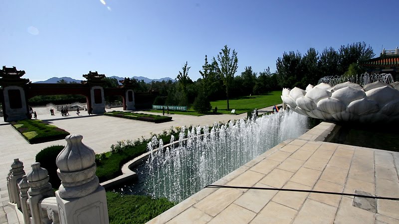 BeijingMan: Chinese Cemetery