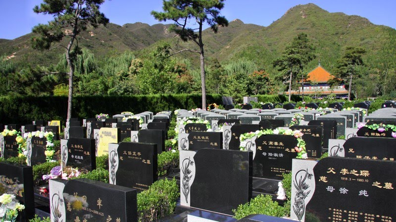 BeijingMan: Chinese Cemetery
