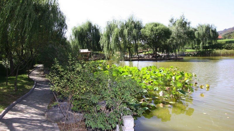 BeijingMan: Chinese Cemetery