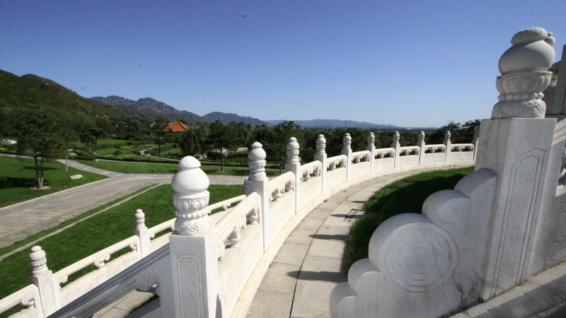BeijingMan: Chinese Cemetery