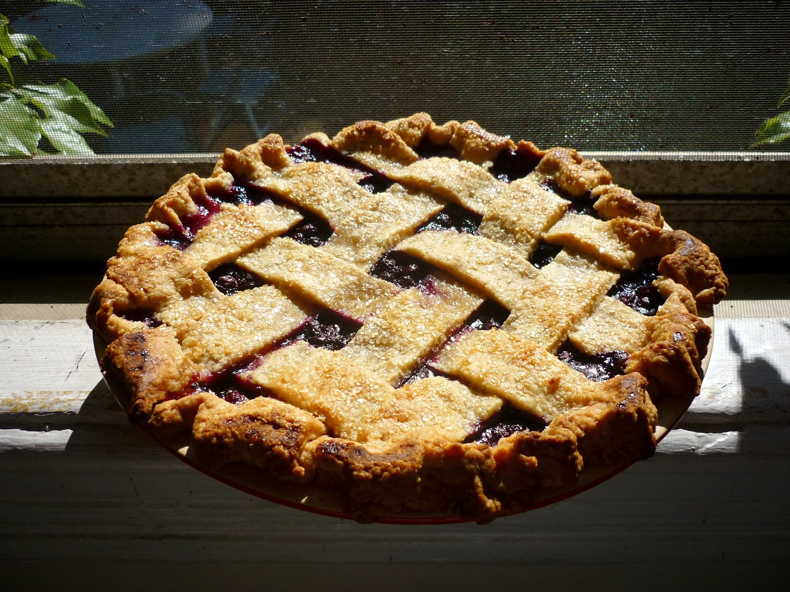 Food for Poems: Wild Blueberry Pie