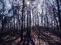 Attainablemind: Pyramids Around the World - Old and New