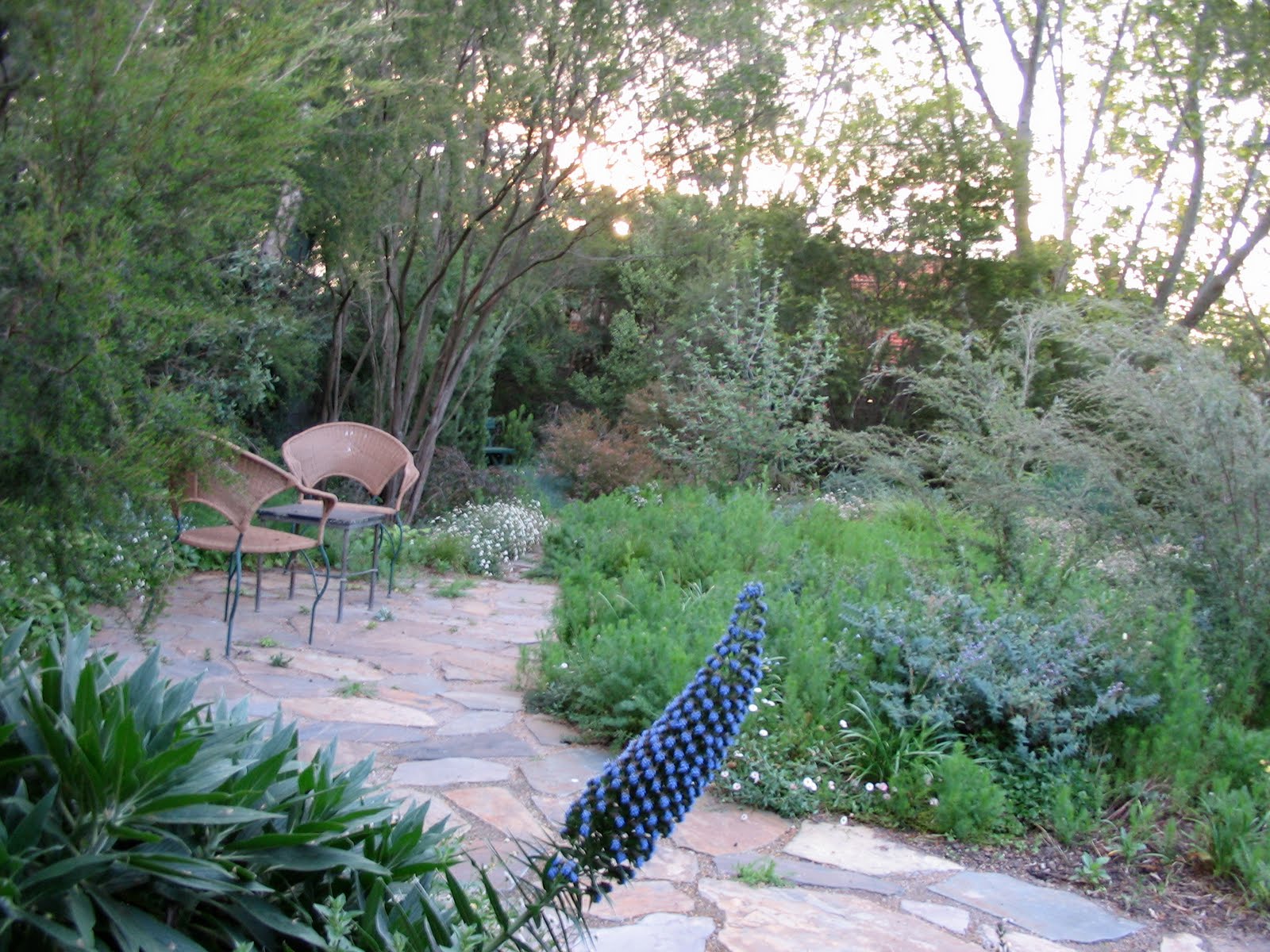 then and now in the back garden