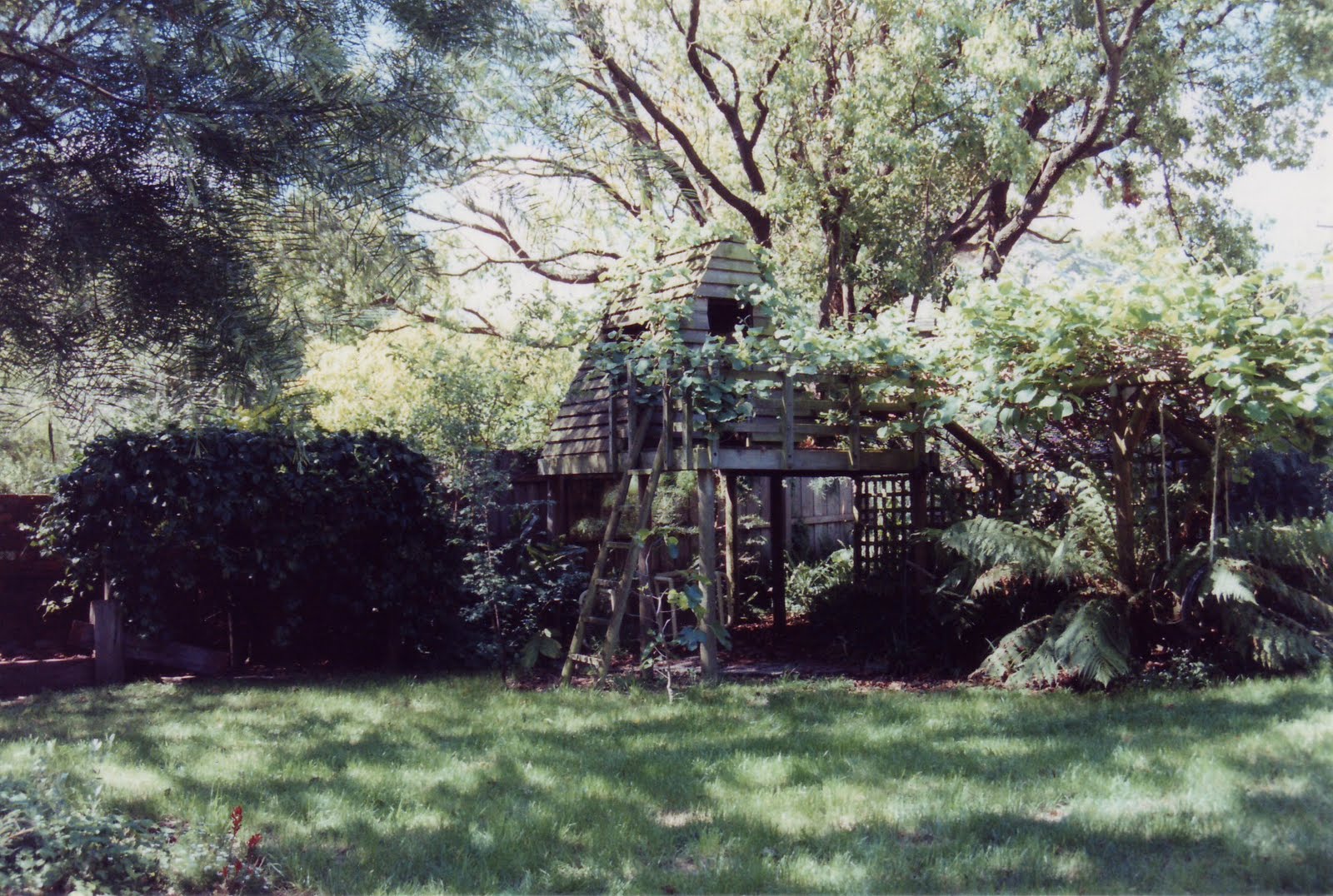 then and now in the back garden