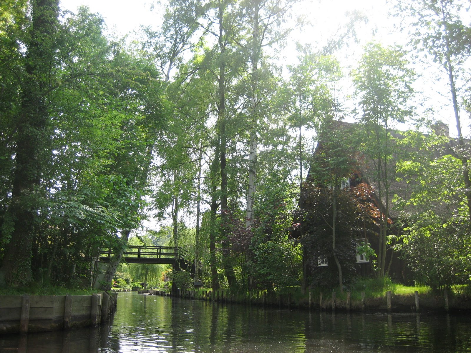 WELCOME TO MY HEAD: Der Spreewald/The Spree Forest