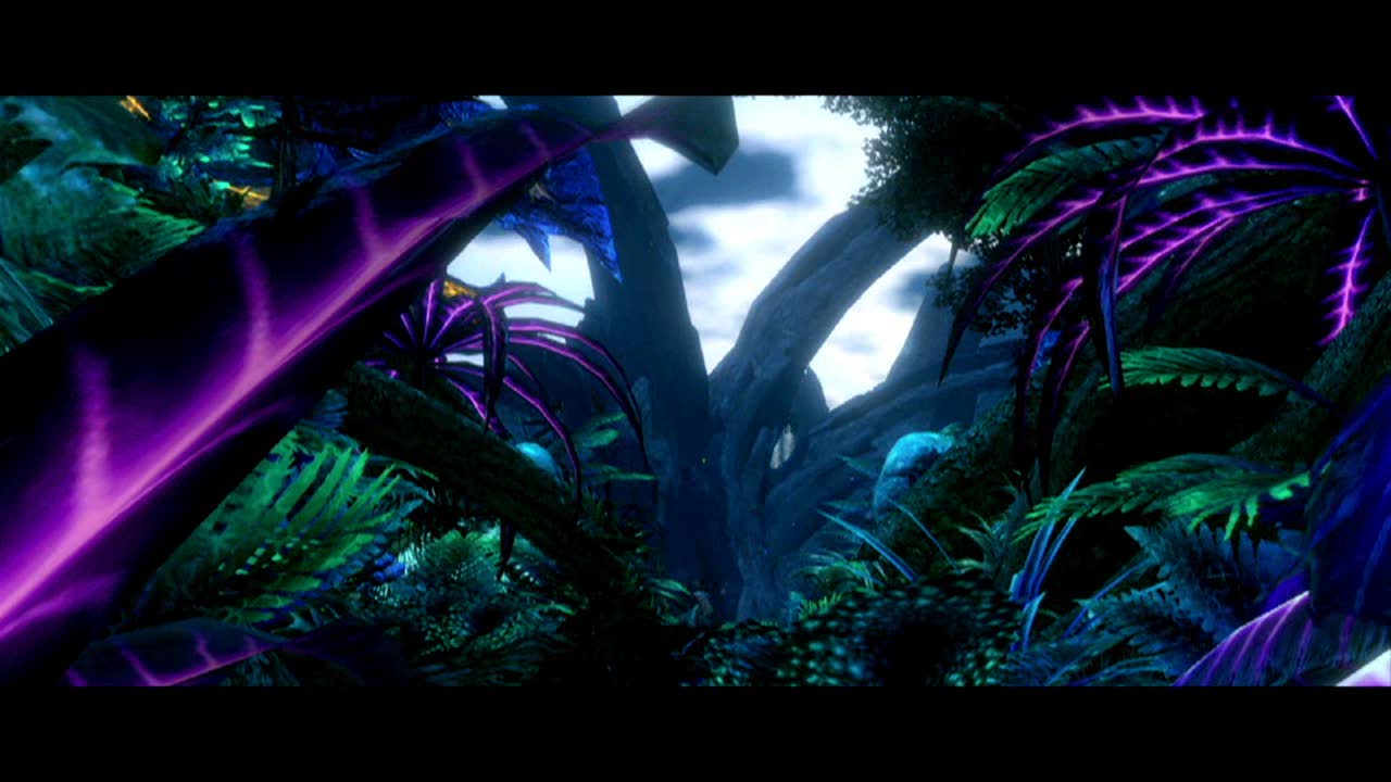 International Wigs: Which type of wild woman are you?