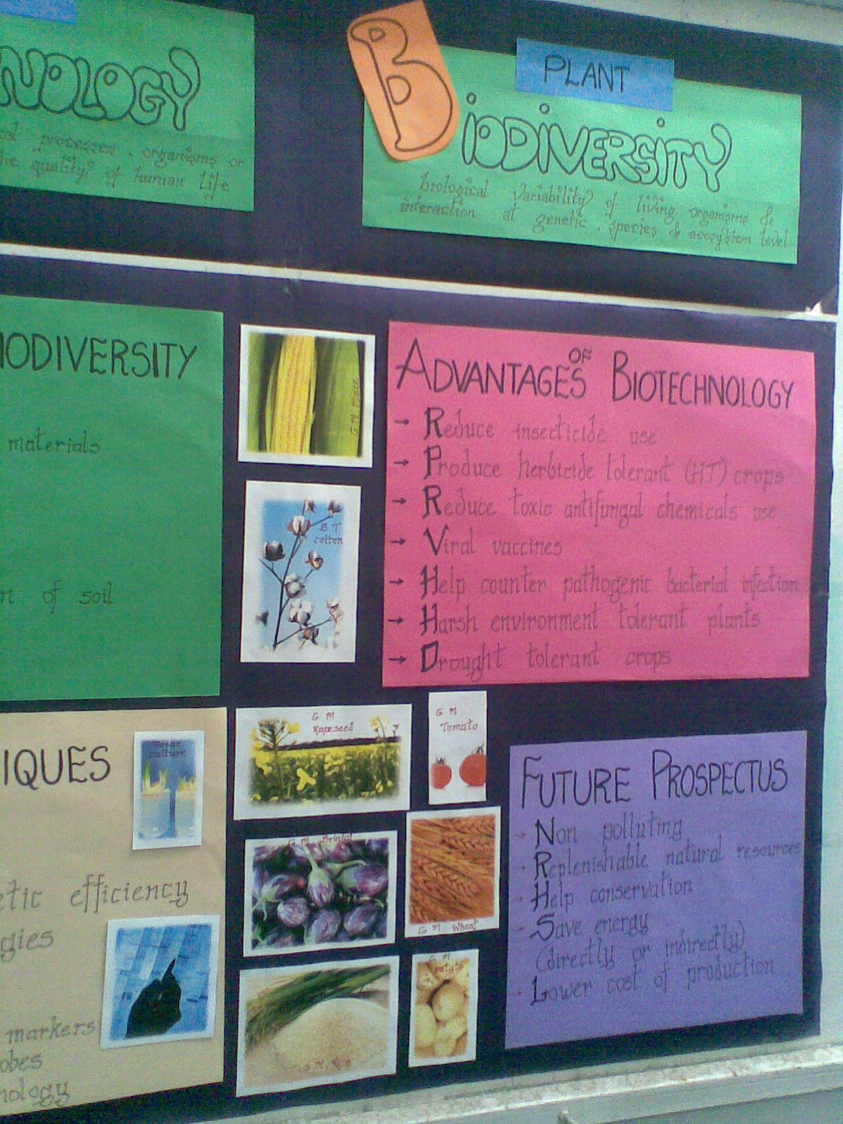 BIONEOGENESIS: Plant Biotechnology and Plant Biodiversity - Poster ...