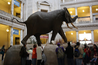 Written Into History...: Scavenger Hunt at the National Museum of ...