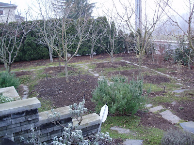 Edible Landscape Seattle: Welcome--Winter Orchard, Hazelnut Hedge ...