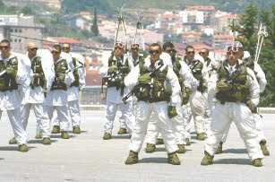 RANGERS & COISASDOMR: M167 - RANGERS DE PORTUGAL - C.T.O.E. - LAMEGO ...