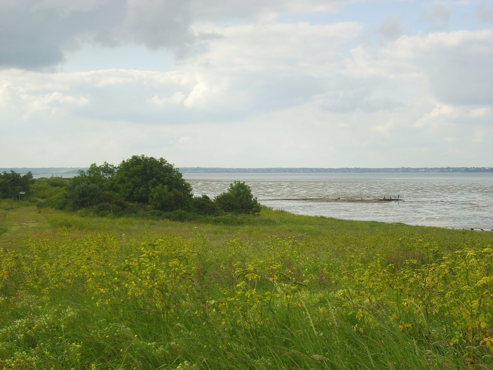 Notes from Kent's Hoo Peninsula: Grain Beach, Isle of Grain
