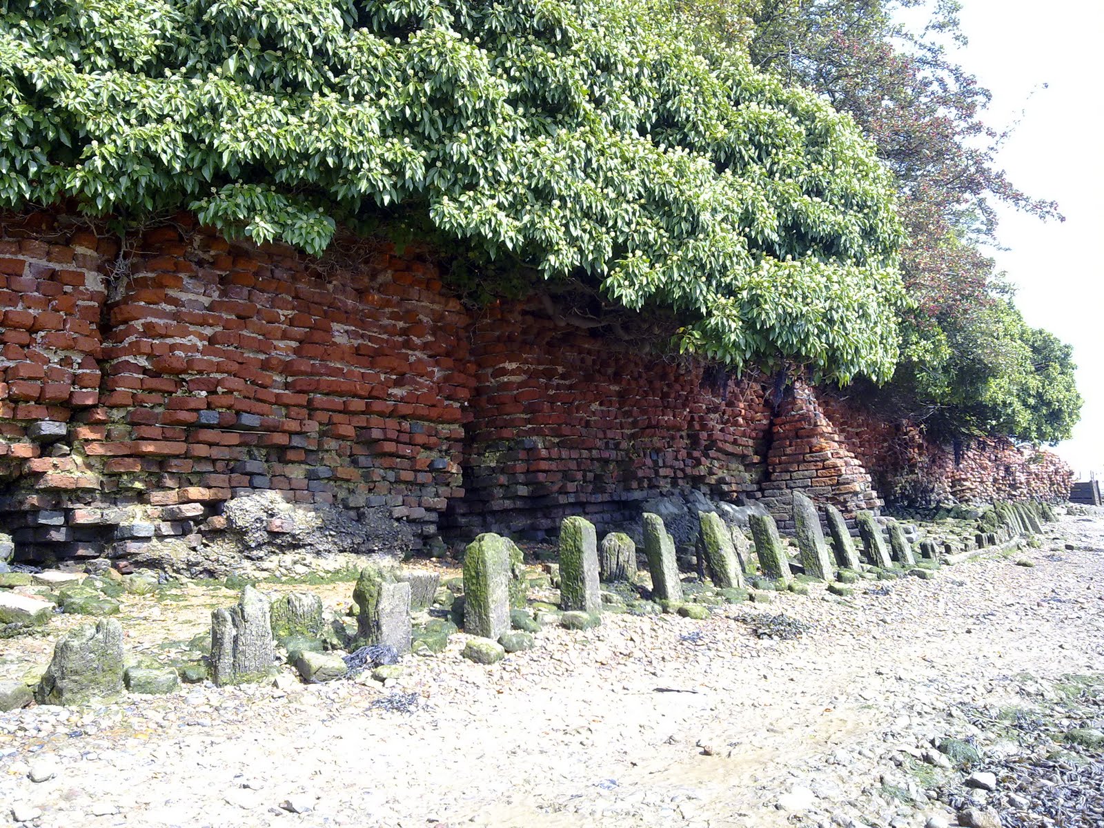 Notes from Kent's Hoo Peninsula: Saxon Shore Way, Hoo St. Werburgh to Upnor