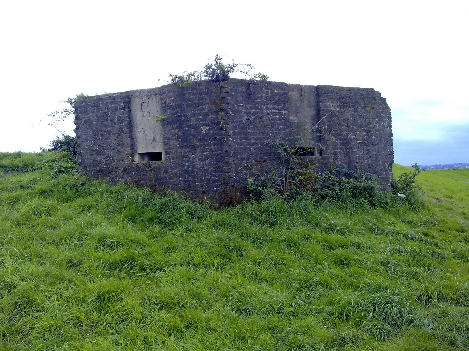 Notes from Kent's Hoo Peninsula: September 2010