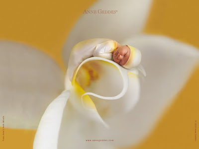 Justin Export: wallpaper anne geddes