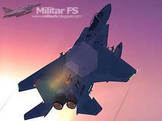 Militar FS: IRIS F-15 FS2004