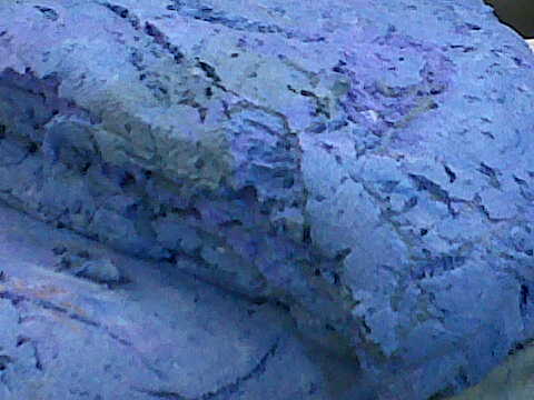 Laure Kalangel: La Scagliola