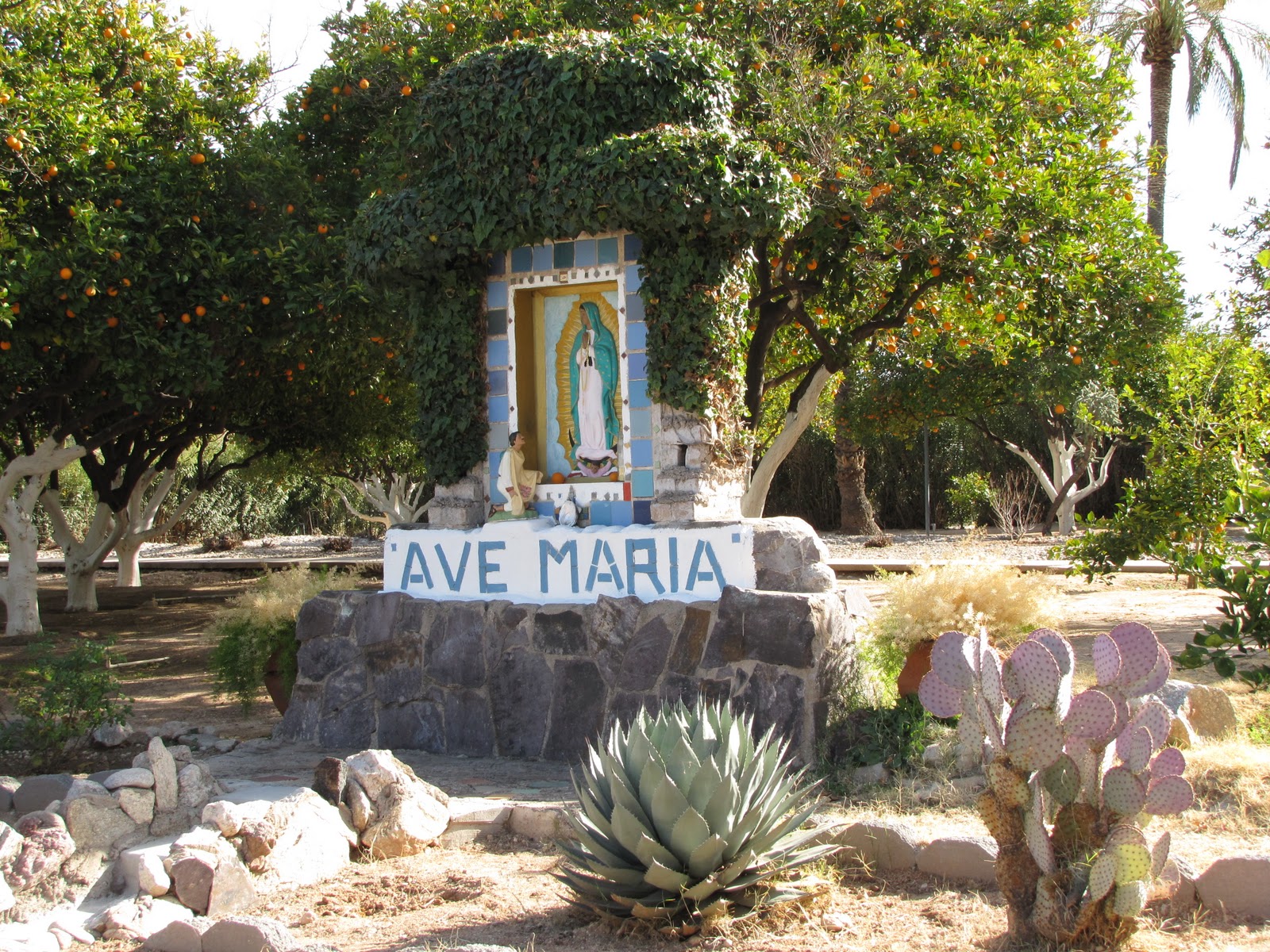 Las Aventuras: Ancient Stories of Unicorns and Avocado Trees......