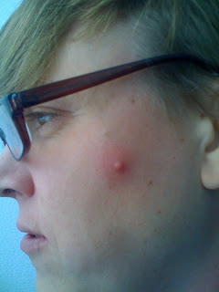 INTERCAMBIOS VISUALES: JUSTIN HALL BLOG