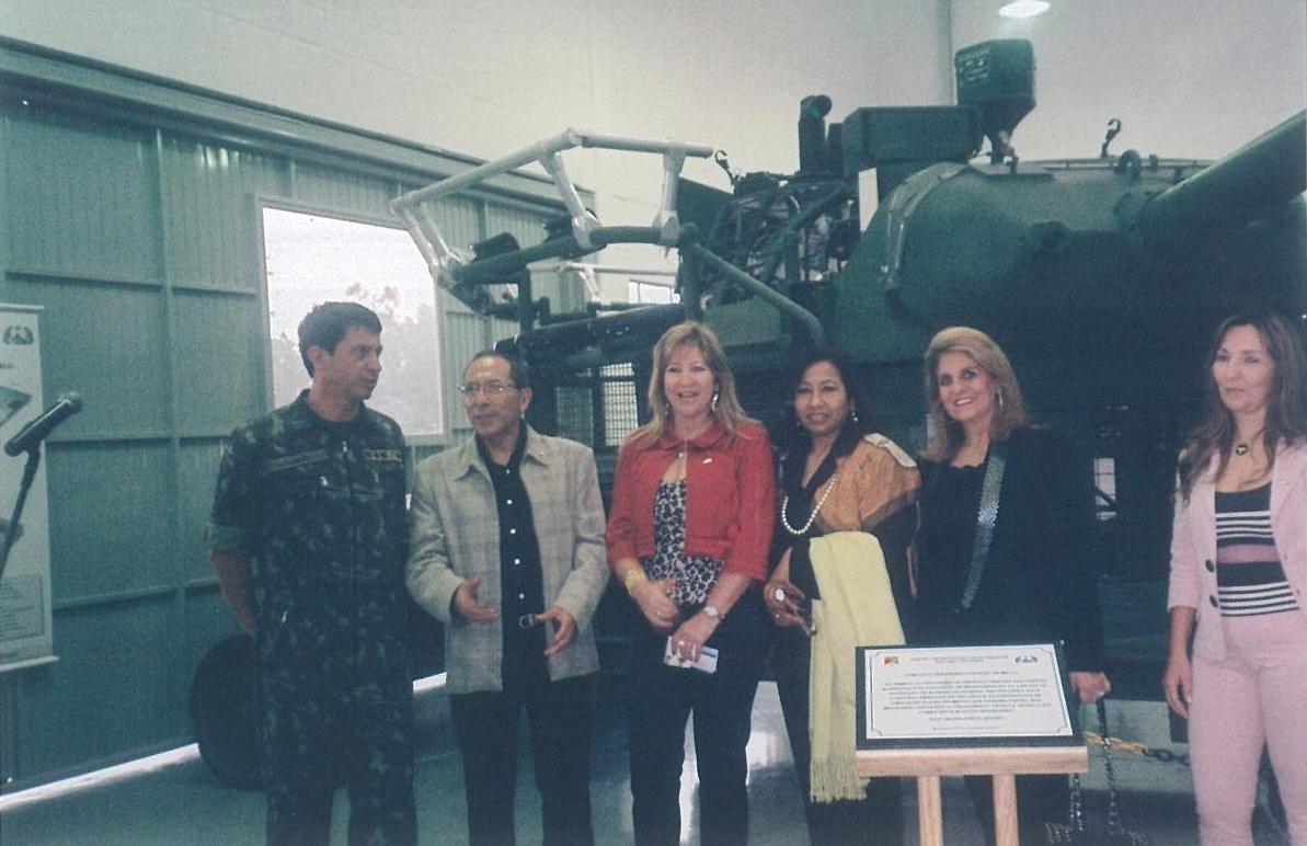 LIANE MARQUES: novembro 2010