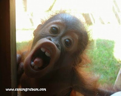 lily_lolypop: 6/27/10 - 7/4/10