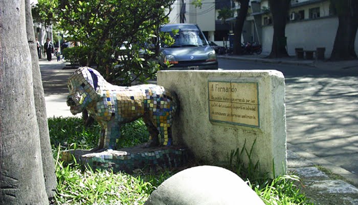 Historia del Perro Fernando